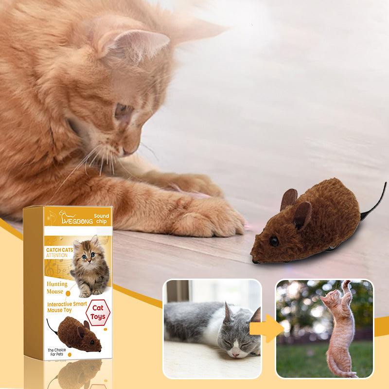 Mouse Toy for Cats and Dogs – letemall